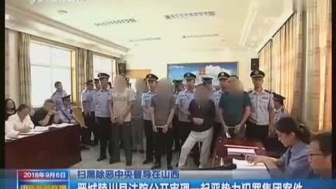 晋城陵川县法院公开审理一起恶势力犯罪集团案件