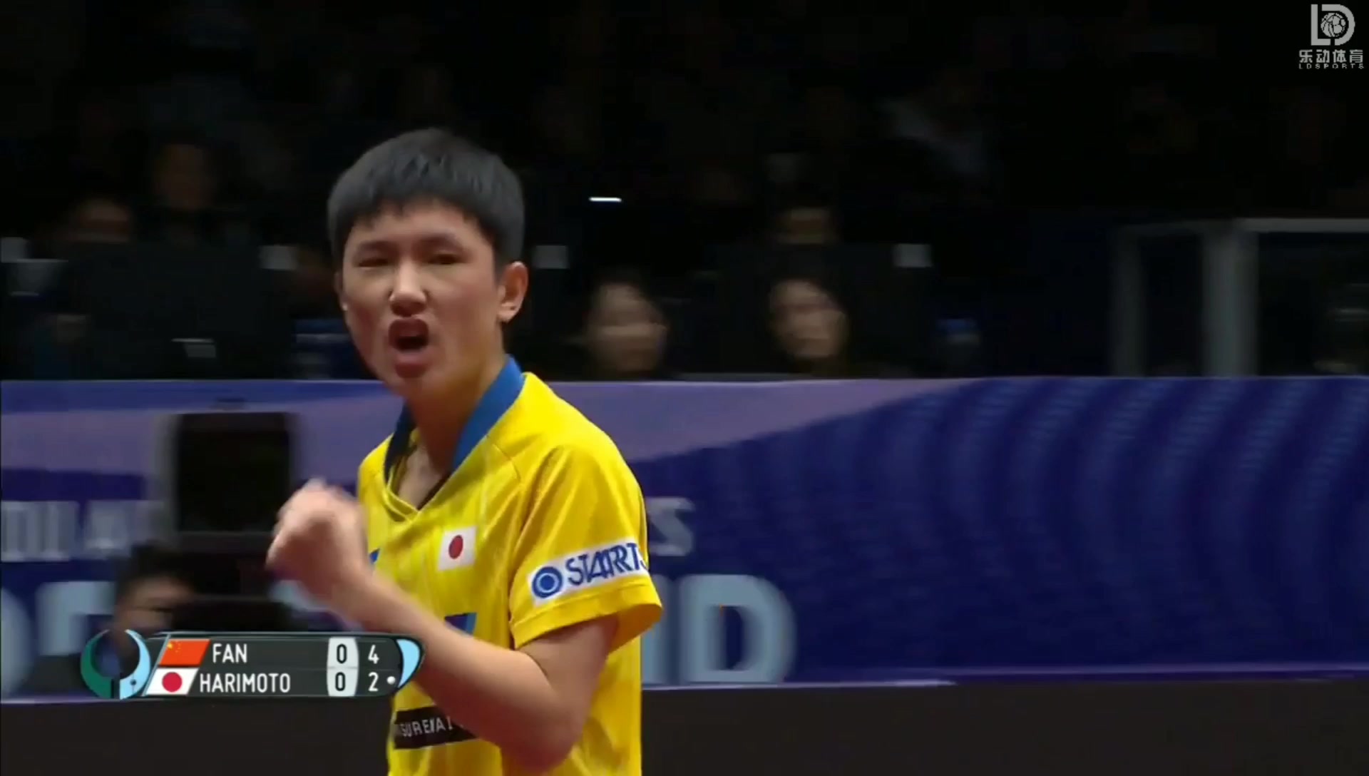 樊振东vs张本智和精彩集锦