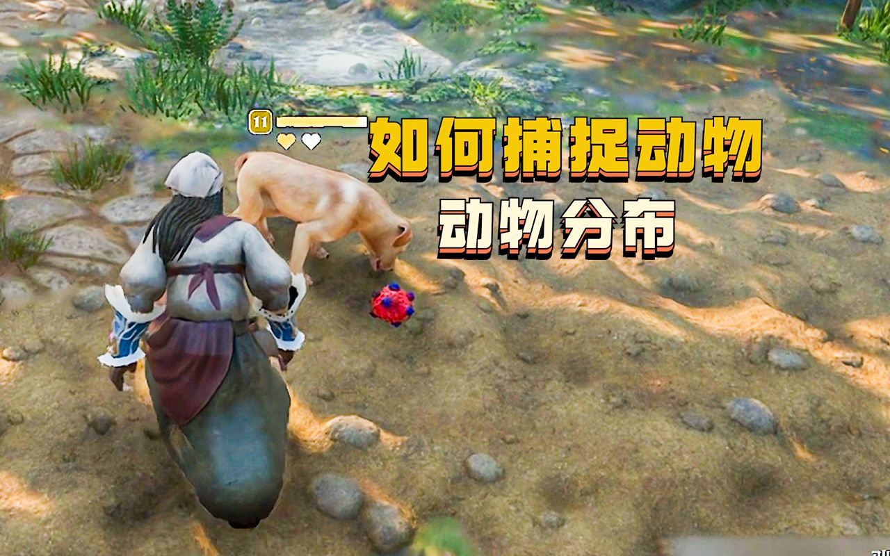 如何成为驯兽大师【雾锁王国】如何捕捉动物
