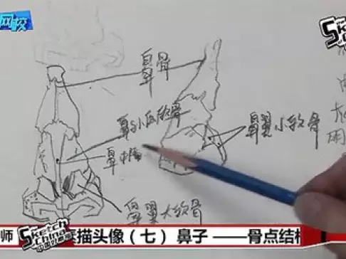 素描头像 几何形体分析法 2 头部块面与鼻子结构