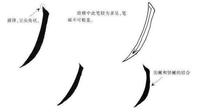 9,长撇的写法,硬笔书法系列讲座,每天一更。