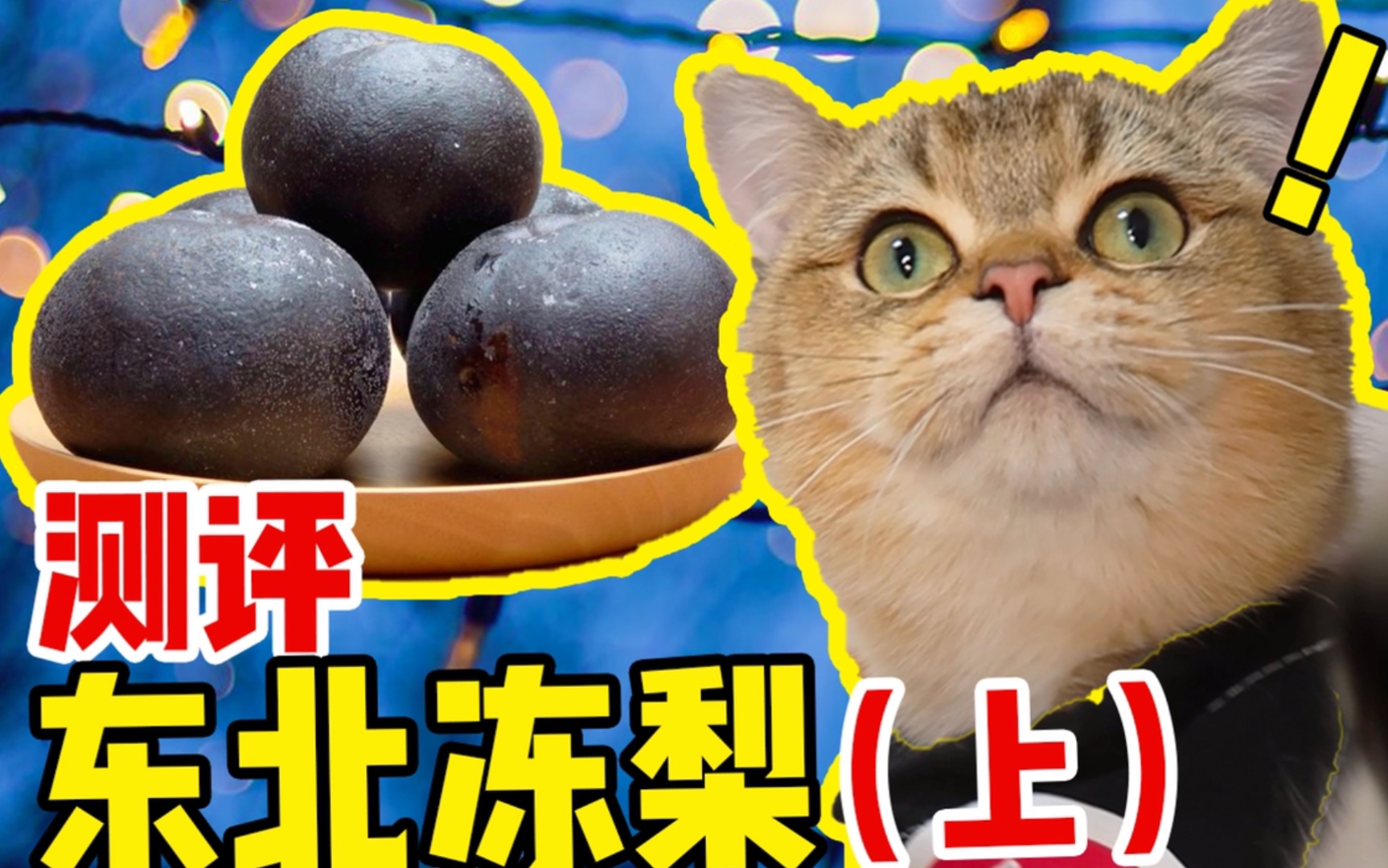 测评东北冻梨(上)!猫咪用冰箱制作东北冻梨!真的那么好吃吗?