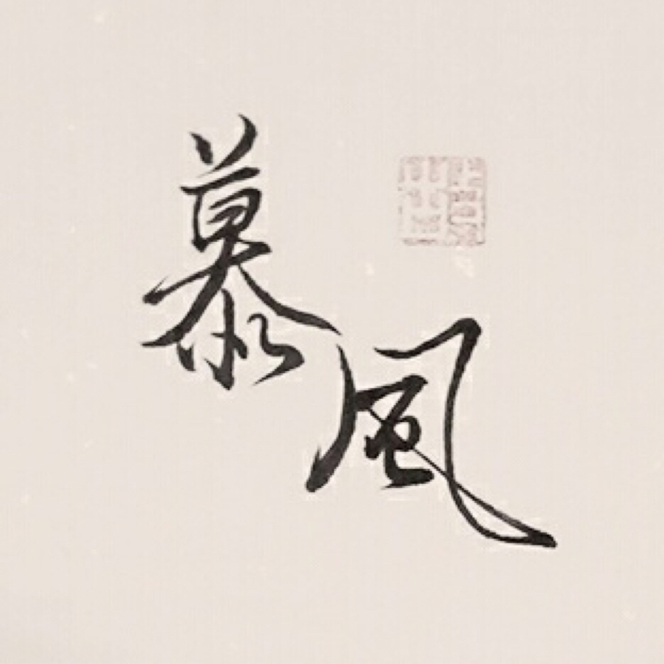慕风MoFo 
