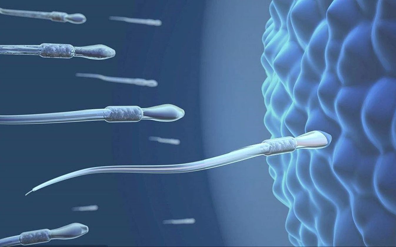 【科普】一部制作非常精良的日本性教育动画《生命的诞生密语》,有...