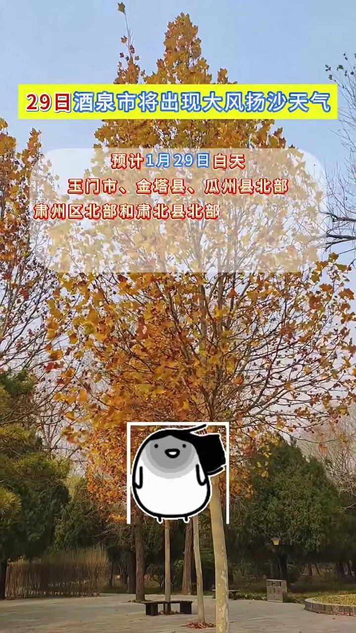 酒泉大风蓝色预警!(酒泉融媒记者杨婷)