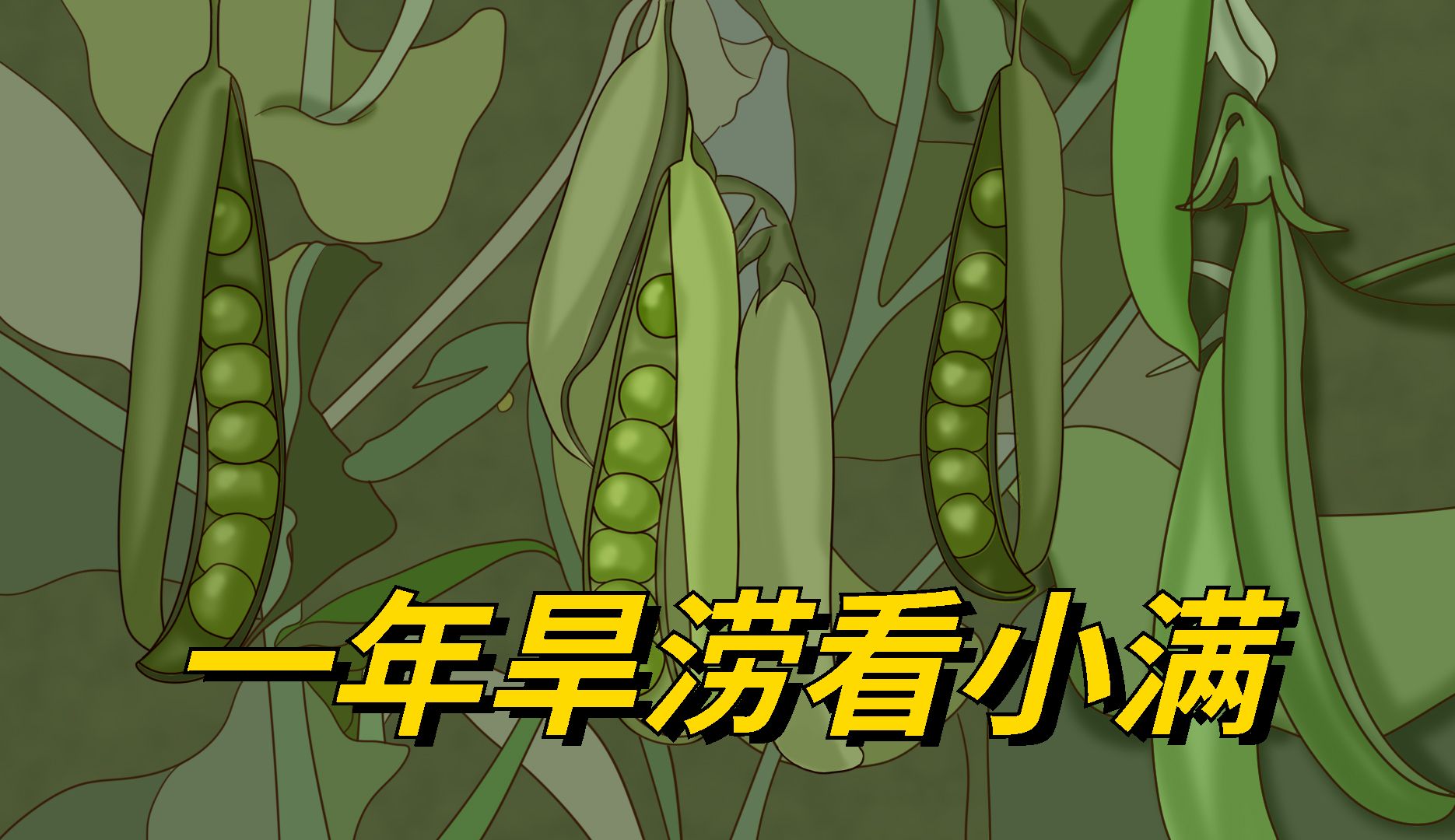 今日小满,俗话“一年旱涝看小满”,小满这天下雨有何预兆?