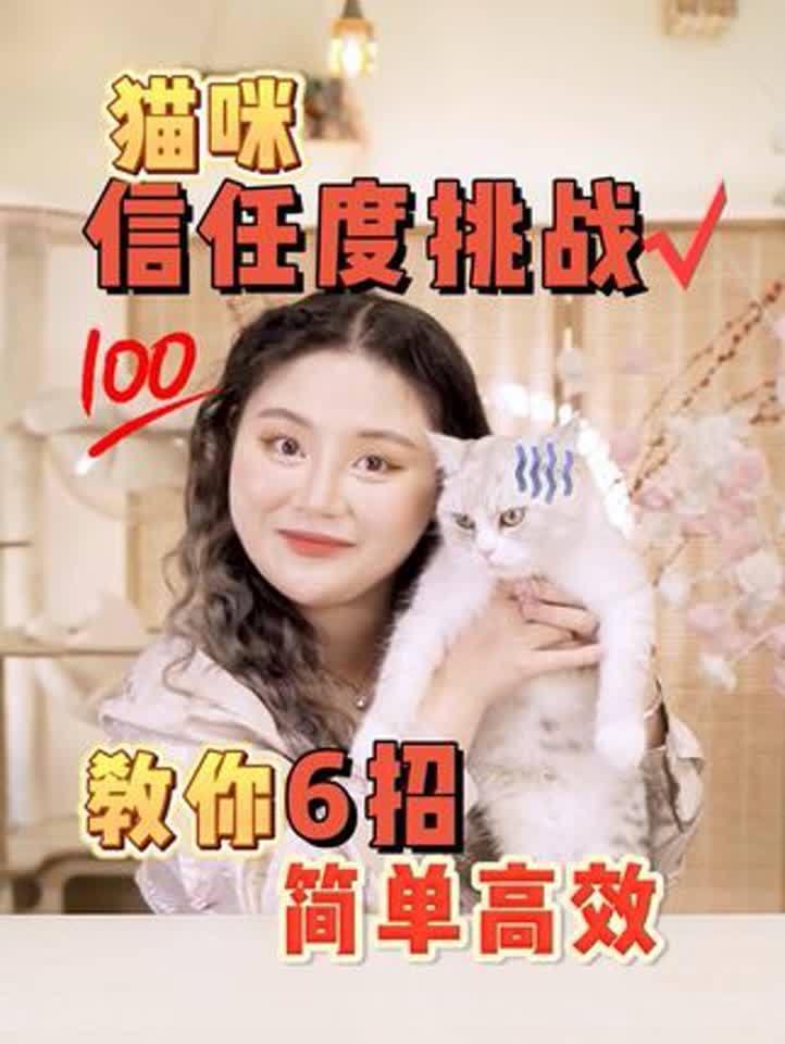如何判断猫咪是否信任你,教你6招,简单高效