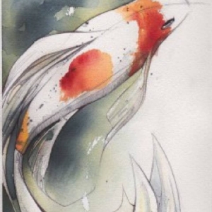 碧血兰花1985 