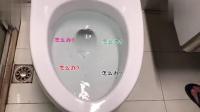 马桶堵了,别再花冤枉钱请疏通工了,只需一分钟,教你快速疏通法