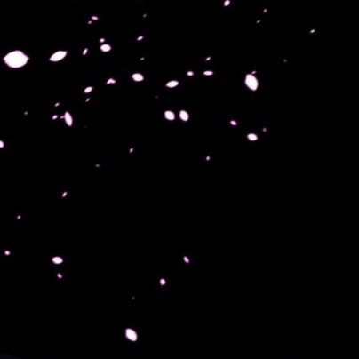 沃日重名这么多的吗 