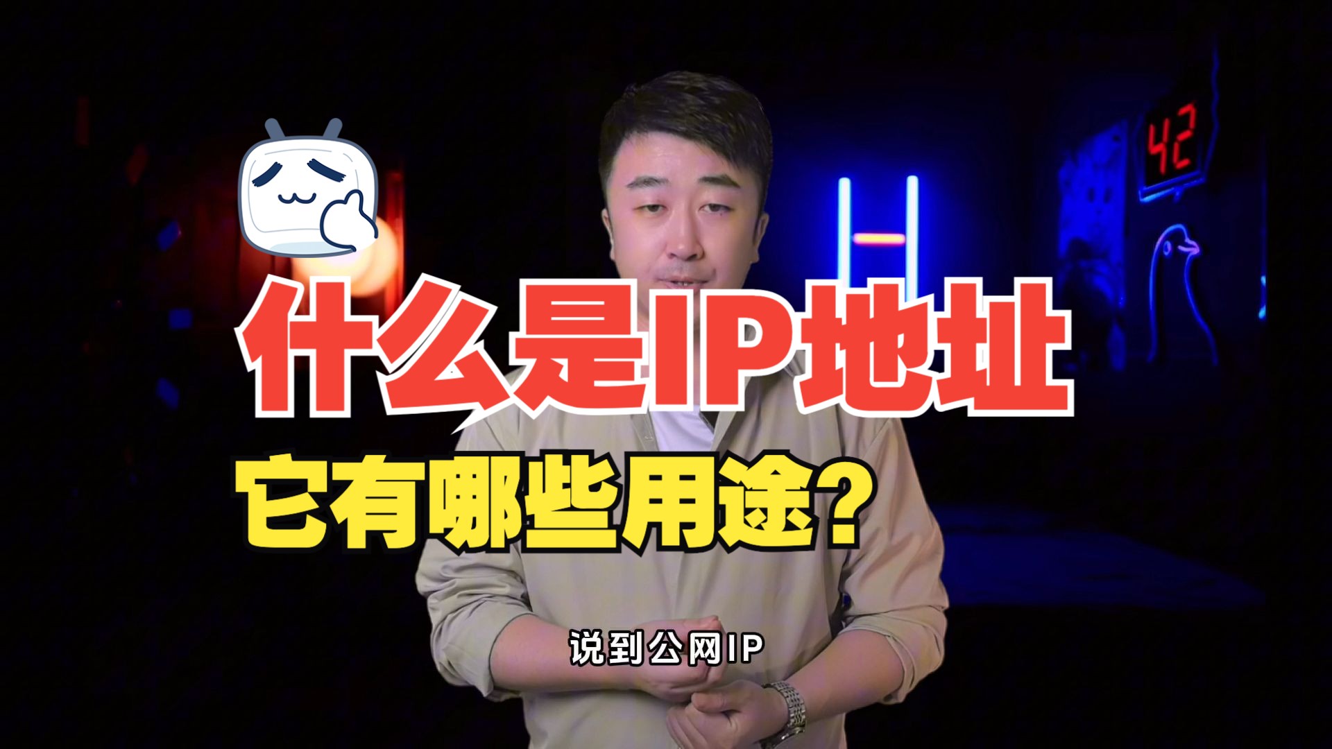 什么是IP地址,它有哪些用途?
