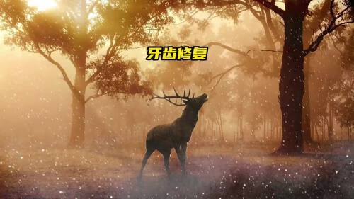 牙齿的根管治疗简直太酸爽了