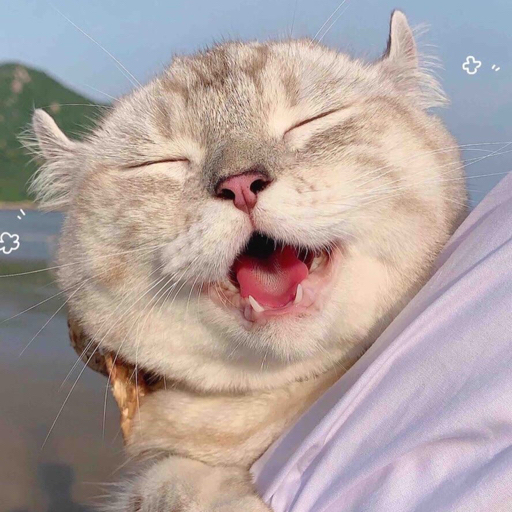 你喜欢画画吗 
