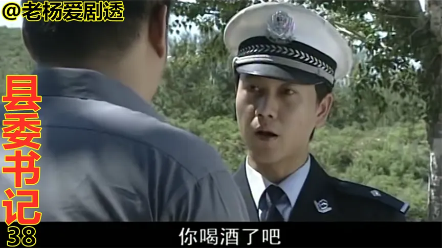 县委书记38:歪打正着!交警查酒驾,竟意外破获了党委书记遇袭案