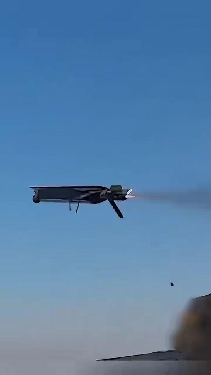 你试试看?!迎头痛击!#解释下什么叫迎头痛击@央视军事