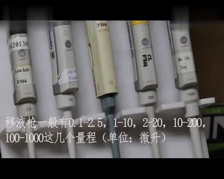 igem团队科普系列 第一期 绝对基础!移液枪! 2018中国科学院大学igem...
