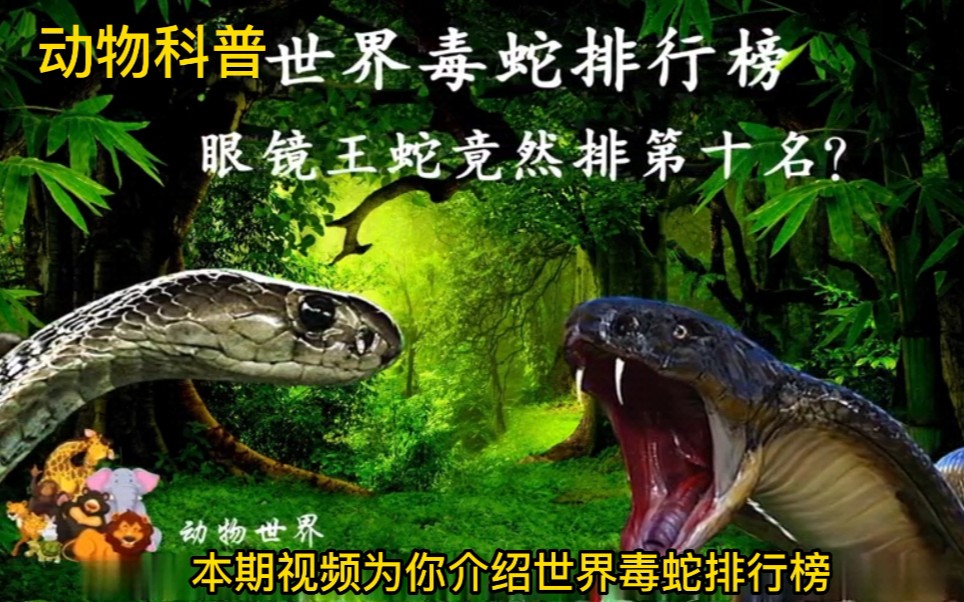 世界毒蛇排行榜,眼镜王蛇竟然排最后?