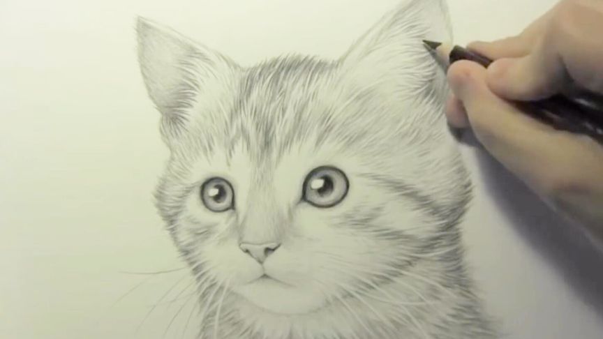 超可爱毛茸茸的小猫是怎样画出来的?几分钟让你学会!