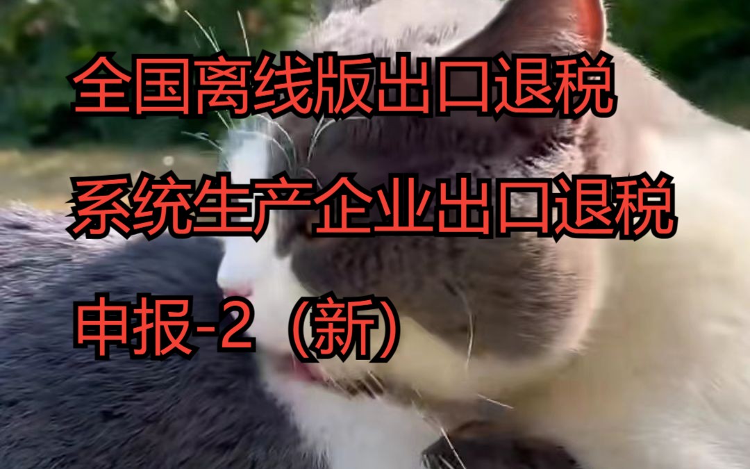 26、全国离线版出口退税系统生产企业出口退税申报-2(新)