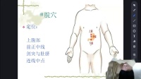 胃三针之中脘穴的定位