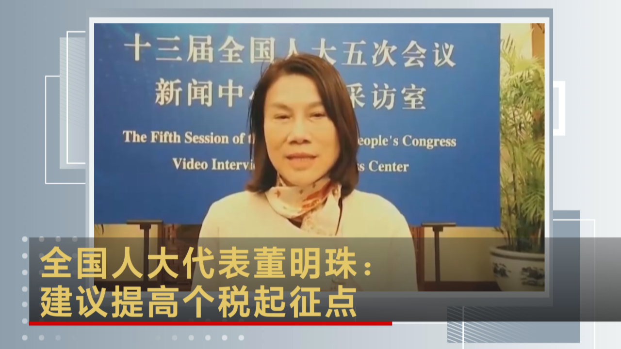 全国人大代表董明珠:建议提高个税起征点