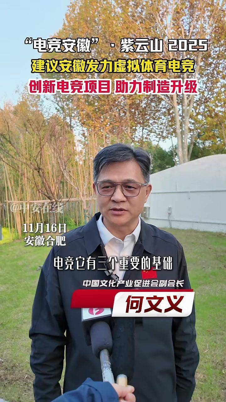 "电竞有三个重要的基础,分别是科技、文化和体育。"中国文化产业促进...