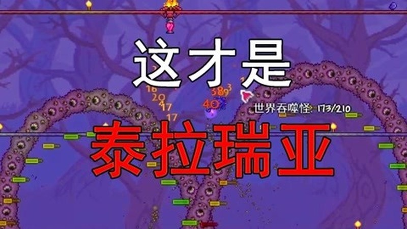 泰拉瑞亚01大战世界吞噬者!