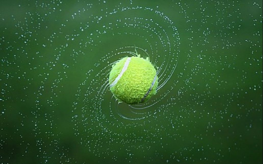 基于机器视觉网球收集机器人演示视频