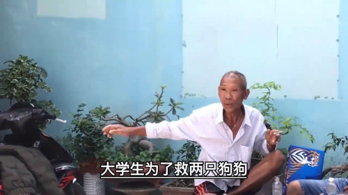 老人宰杀三只狗狗下酒菜,大学生救下两只,但过程很委屈