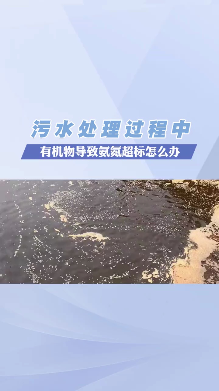 污水处理过程中,如果出现有机物导致氨氮超标该如何解决?