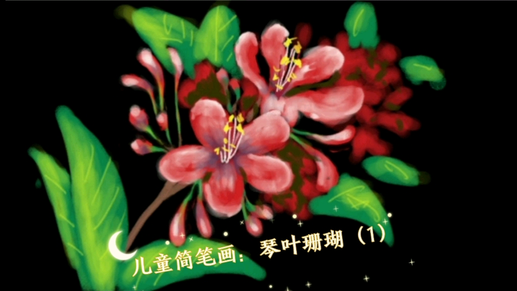 儿童简笔画:琴叶珊瑚(1)