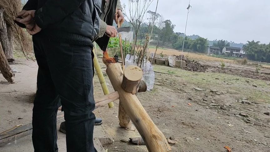 不用花钱制作了一个古老又简单的木工工具,很实用,