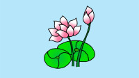 简单易学的荷花简笔画 - 一步一步教你画