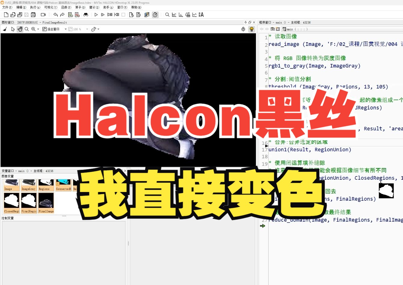 Halcon 黑丝