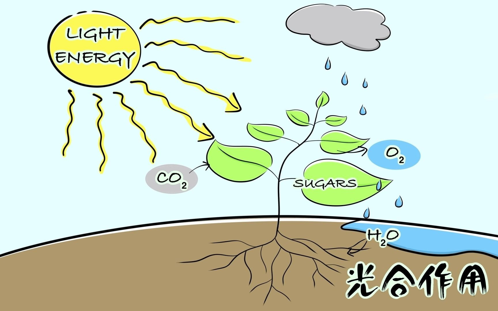 院士团队光电催化全分解水制氢效率达到4.3%!