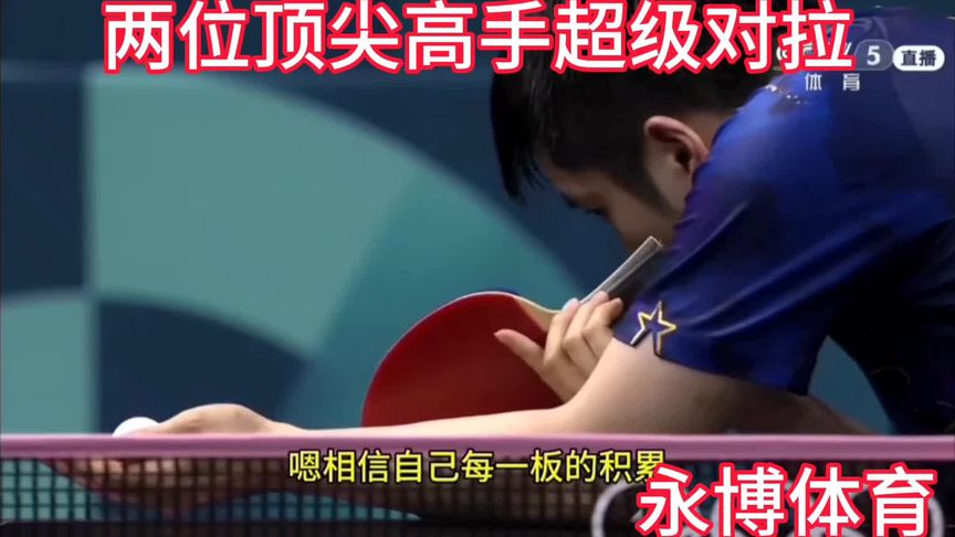 这对拉让人眼花缭乱#大满贯 #巴黎奥运会樊振东vs张本智和