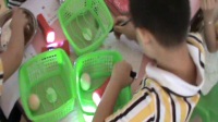 大班科学活动《生蛋和熟蛋》