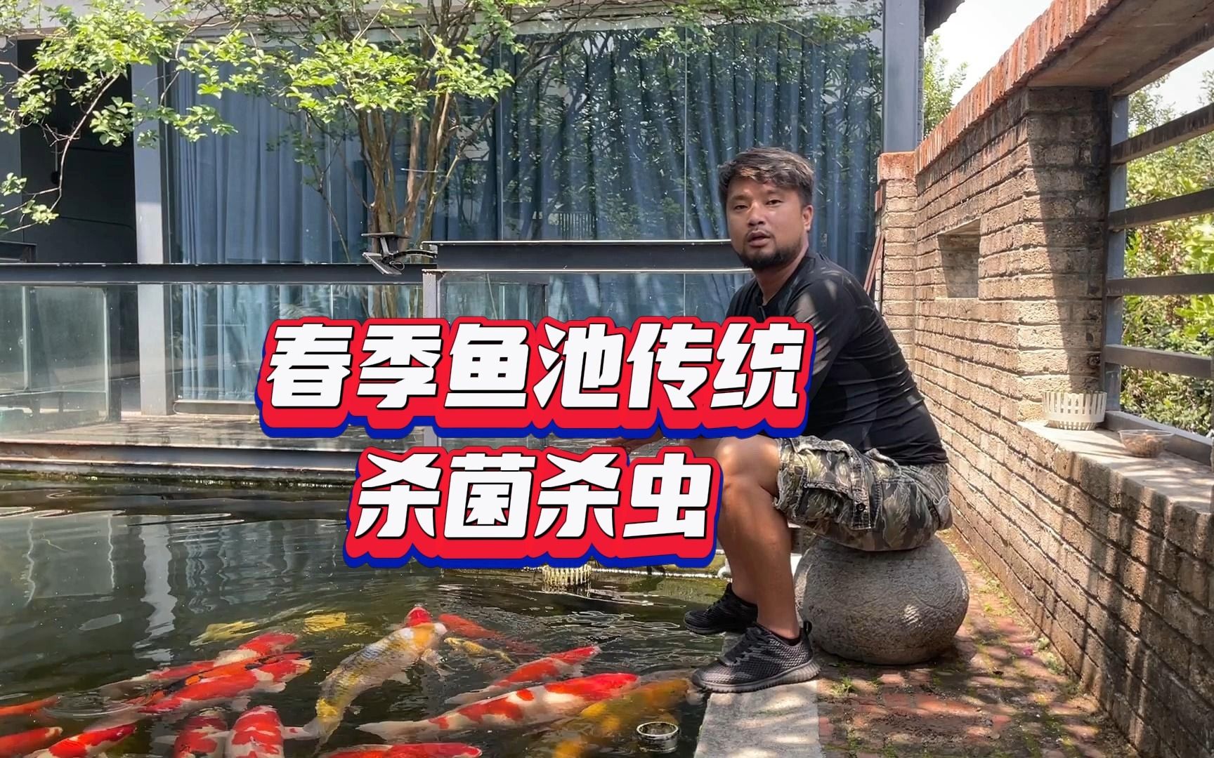 鱼池传统双杀之杀菌