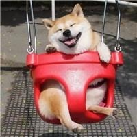 北冥千里游