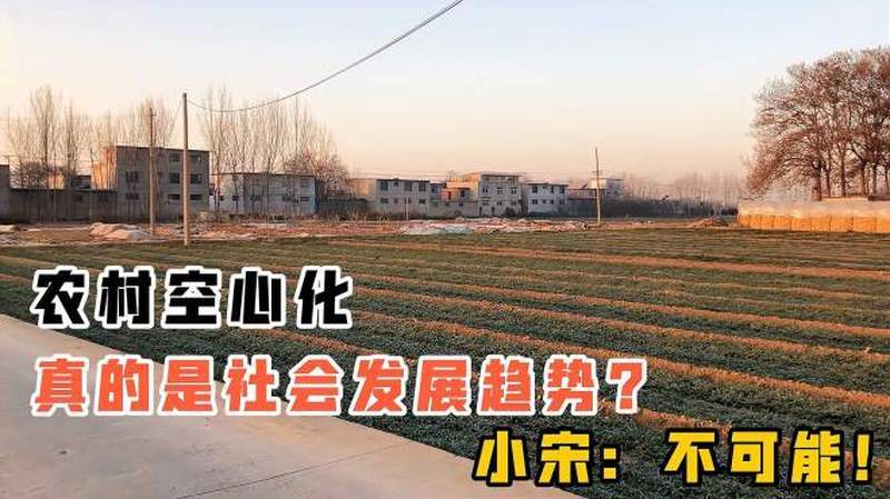 农村空心化竟是社会发展趋势?未来全是机械化农业,小宋:不可能