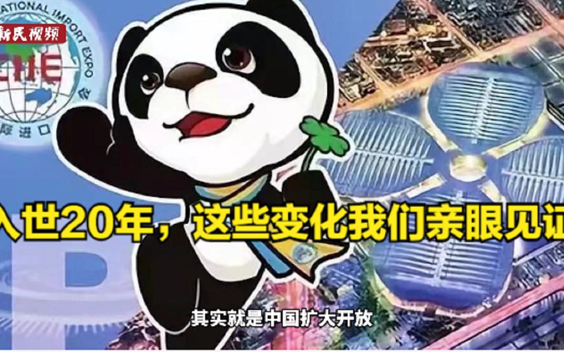 入世20年,这些变化我们亲眼见证