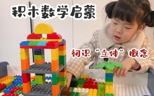 积木数学启蒙:初始立体概念,让宝宝照着图片搭建立体图形
