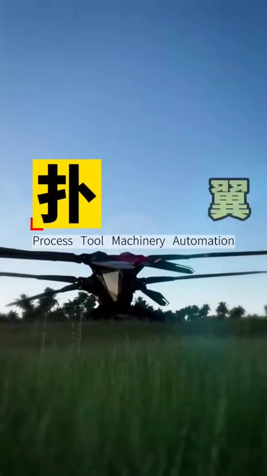 扑翼机:一种独特的飞行器