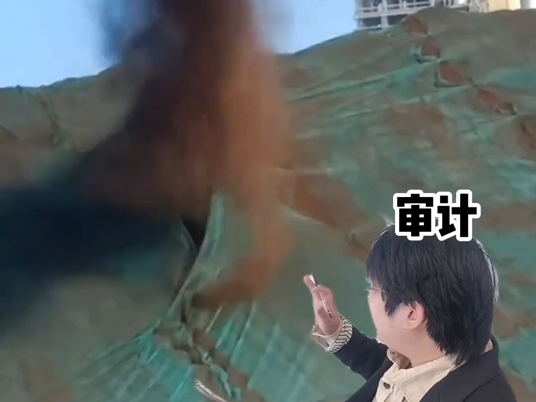 会计:天庭扩建,找我借了点沙石