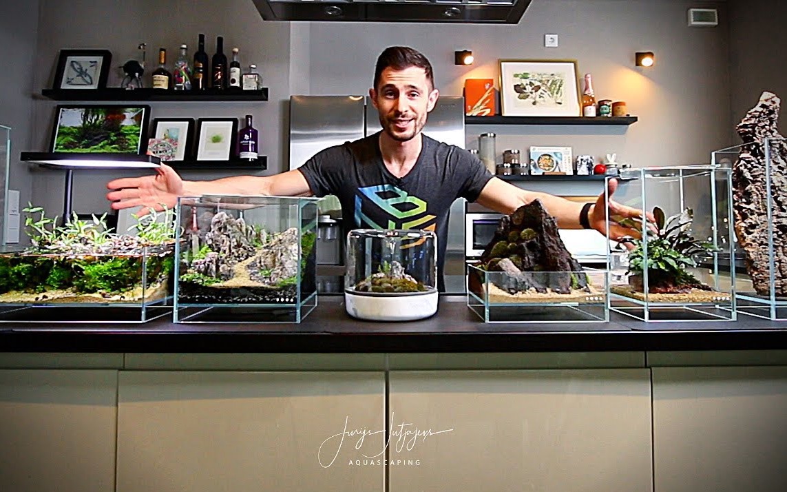 【Jurijs】20小缸懒人开缸教程