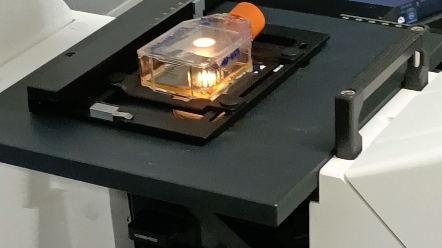 细胞房相差显微镜使用工程师讲解