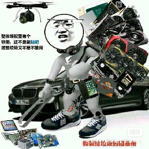 不会装机的小王 