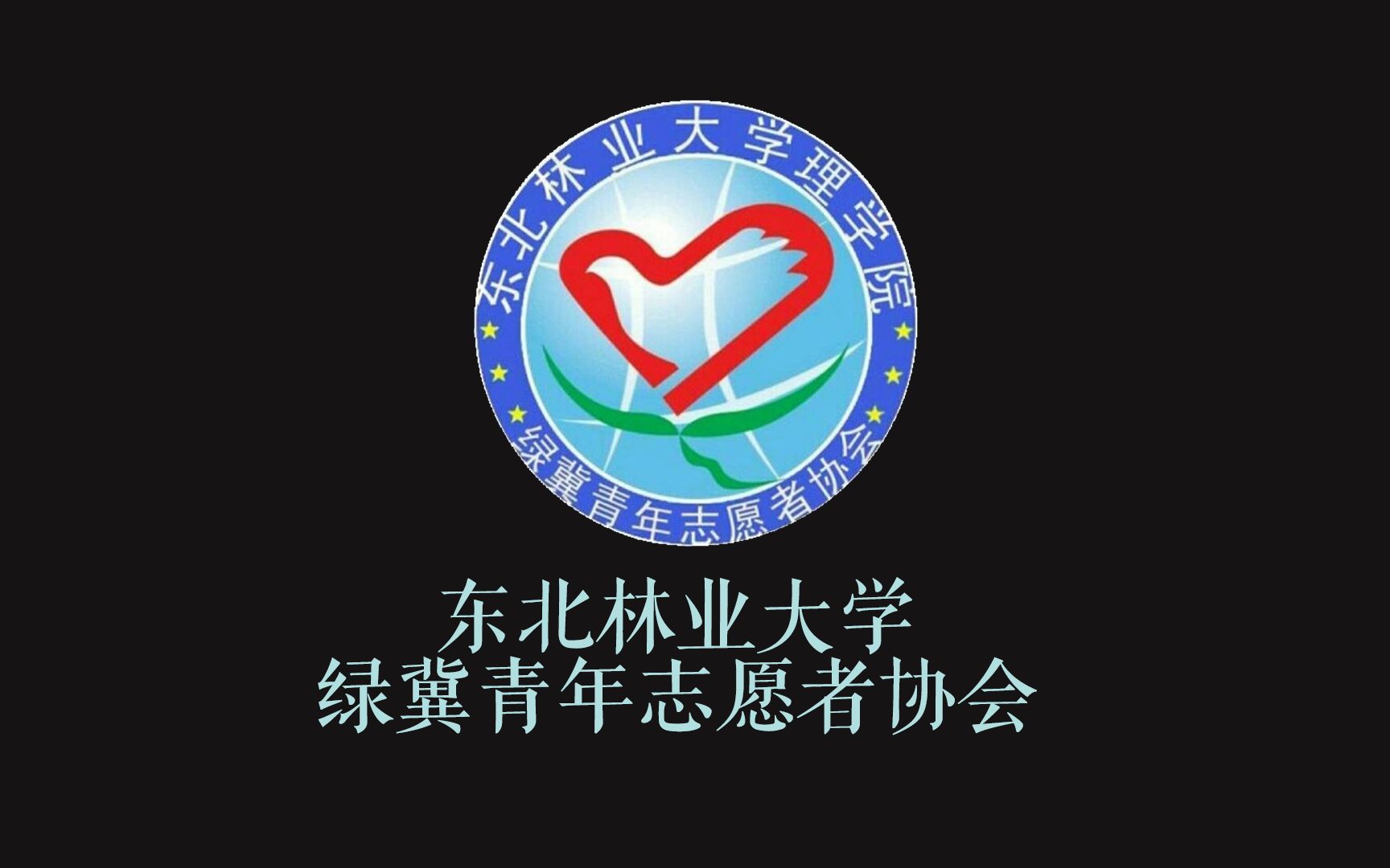 东北林业大学“绿冀”第⑨期暑期辅导班总结 (Demo)