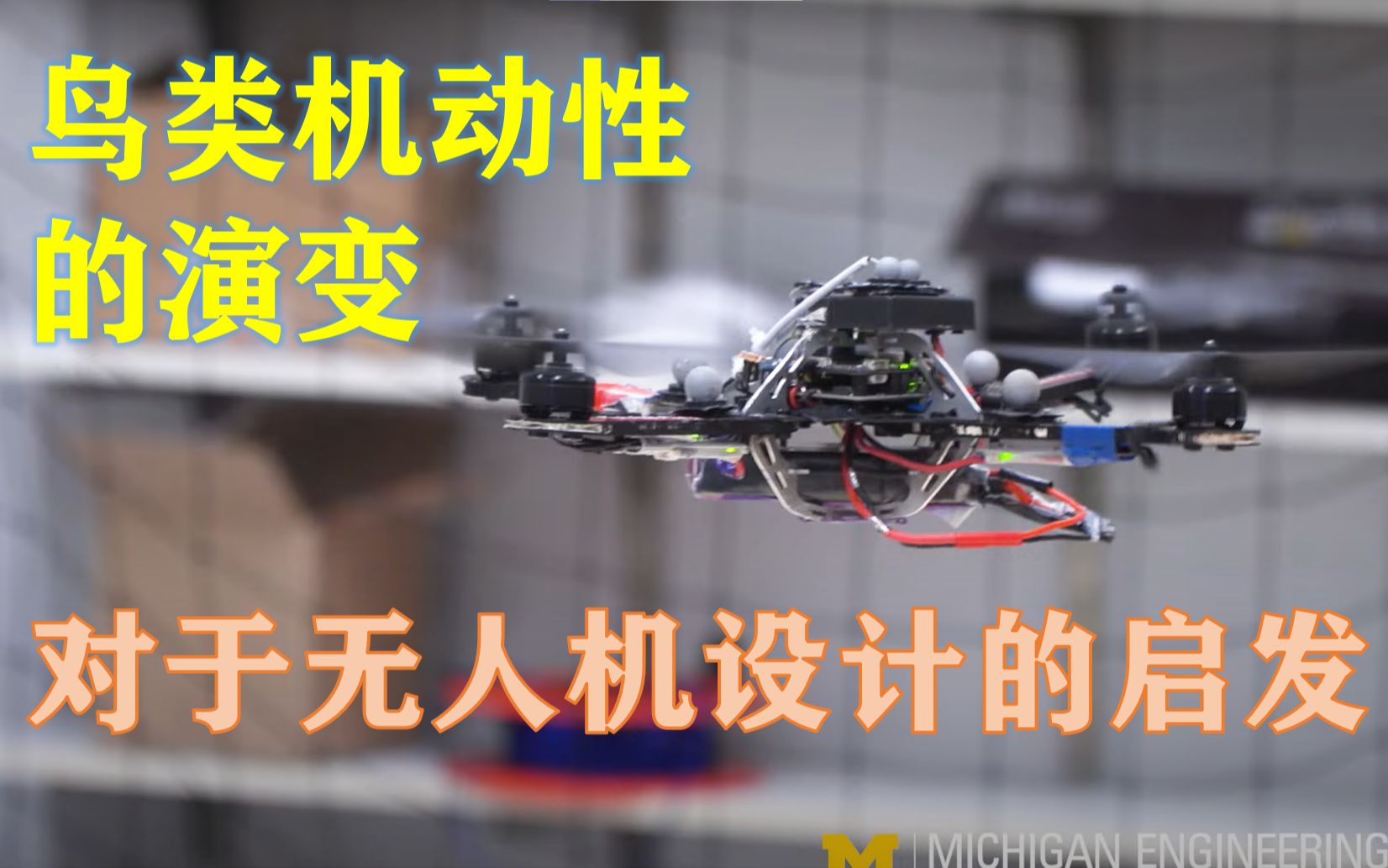 鸟类机动性的演变对于无人机设计的启发