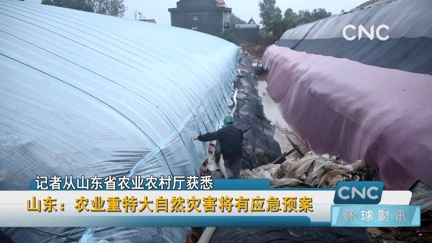 山东:农业重特大自然灾害将有应急预案